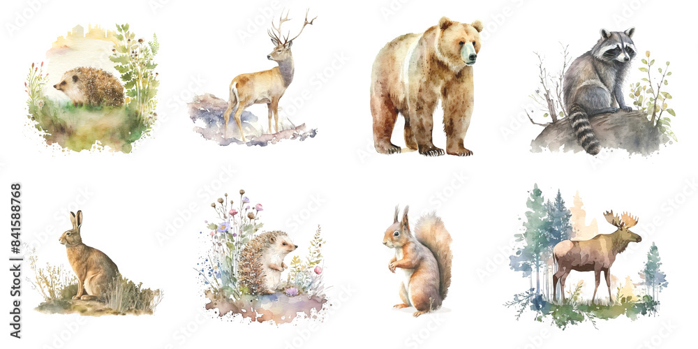 Woodland animals watercolor clipart. Bear, deer, hedgehog, raccoon ...