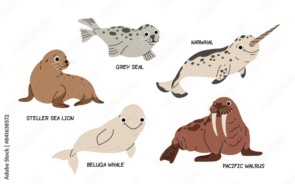 Walrus, White Whale with Narwhal and grey Seal, Beluga, Sea lion Arctic ...
