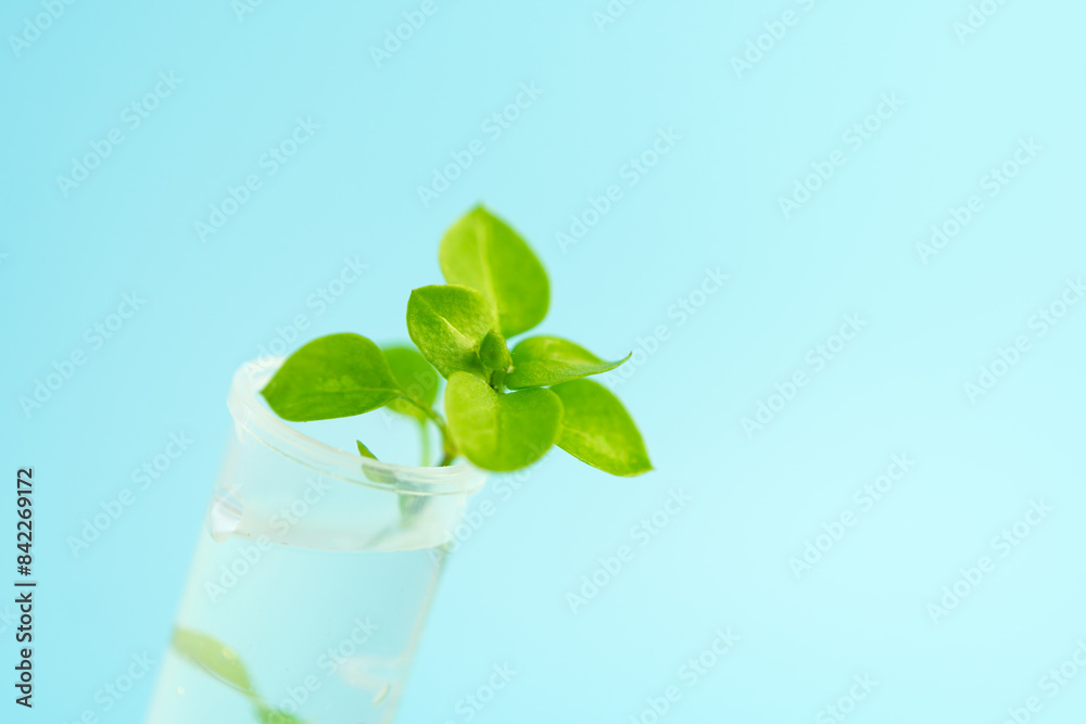 Genetically modified plant tested .Ecology laboratory exploring new ...