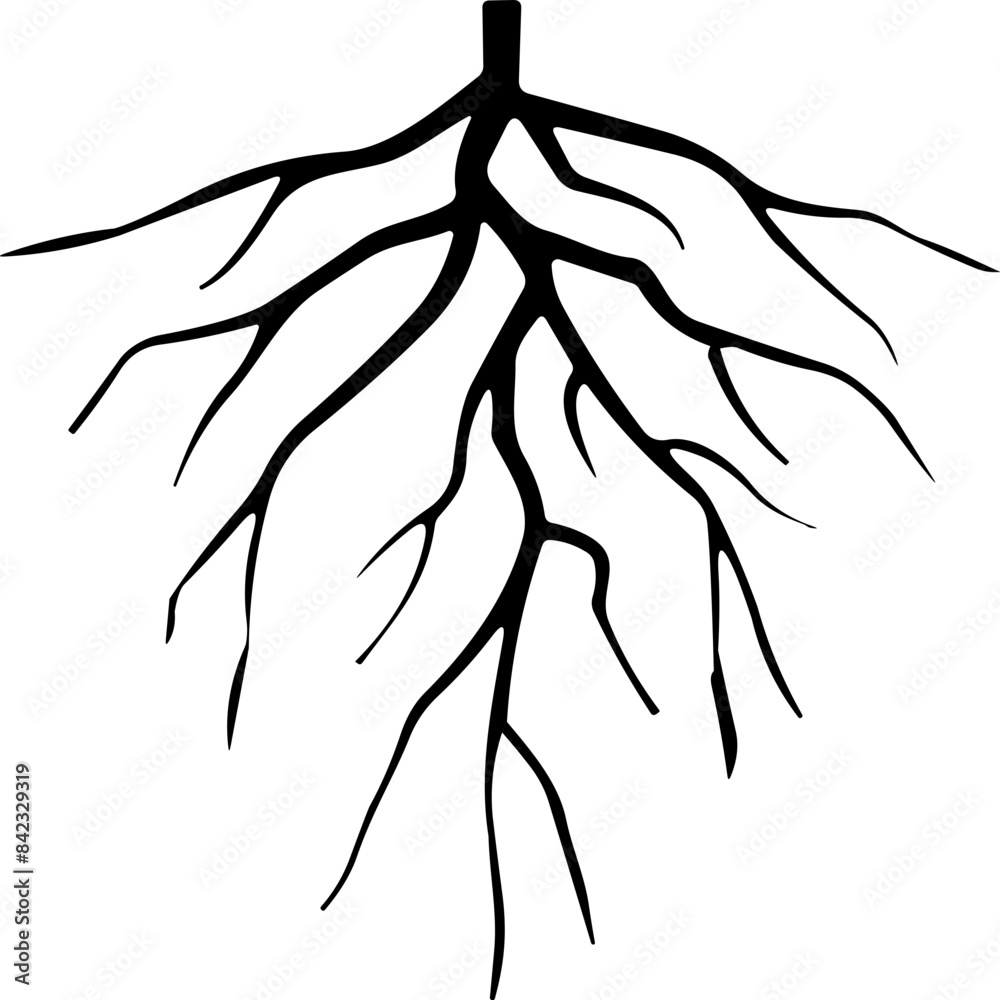 Tree root silhouette icon vector. Taproot and fibrous root system plant ... Tree root silhouette icon vector. Taproot and fibrous root system plant ...