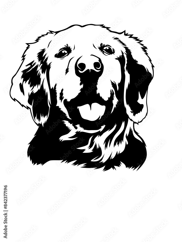 Cute Labrador Illustration, Labrador Stencil, Peeking Dog Vector ...