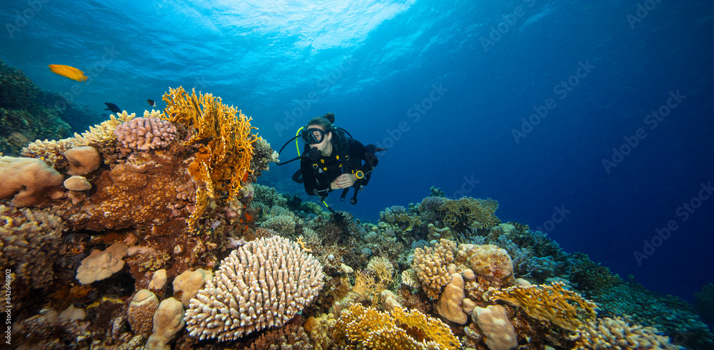 Girl scuba diver diving on tropical reef with blue background and reef ...