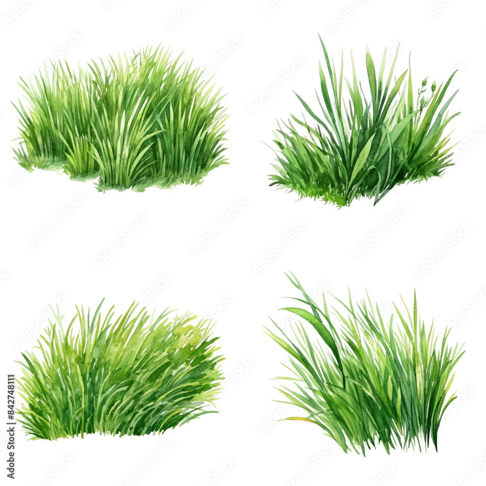 Four watercolor illustrations of lush green grass patches, isolated on ...