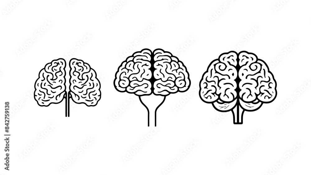 brain illustration from front in vector, front view of cartoon brain in ...
