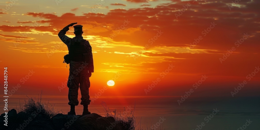 Silhouette of Soldier Saluting the Setting Sun: Symbol of Hope and ...