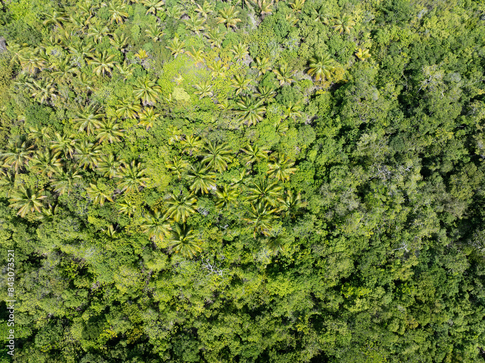 Thick rainforest covers a scenic and remote island, Pulau Selu, in the ...