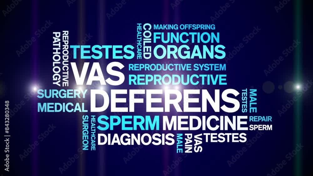 Vas Deferens animated word cloud;text design animation tag kinetic ...