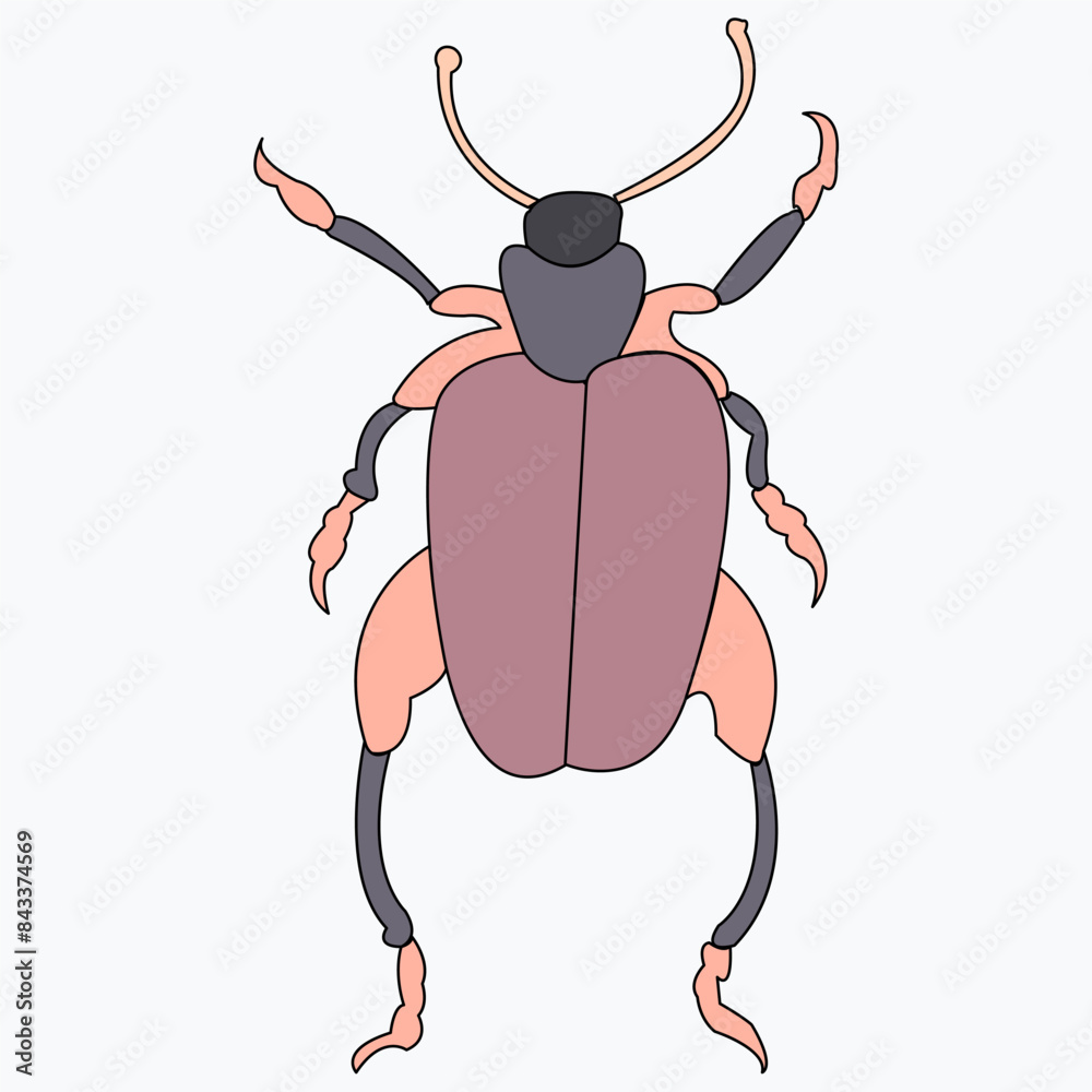 Insect close-up. Vector image of a beetle with six legs and long ...