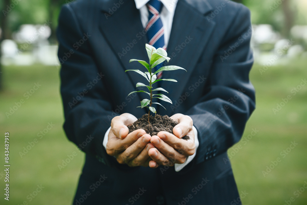Business hands holding green plant are the symbol of green business company in World environment ...