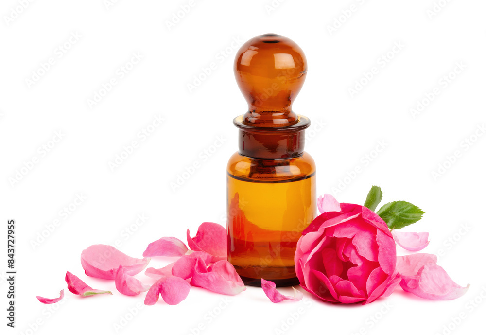 fragrant pink rose, rose petals and essential oil in an amber colored ...