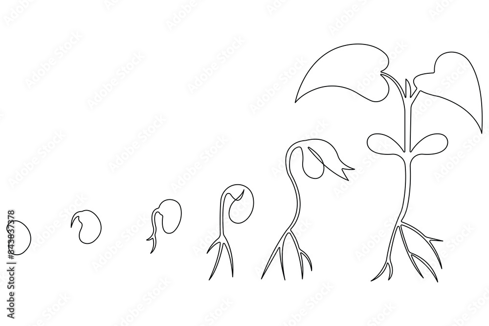 Plant growing continuous one line art drawing of tree plant outline ...