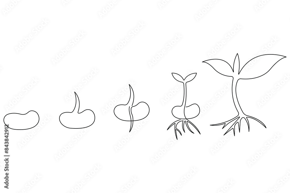 Continuous single line art drawing of plant growth processing from seed ...