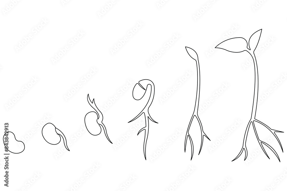 Continuous single line art drawing of plant growth processing from seed ...