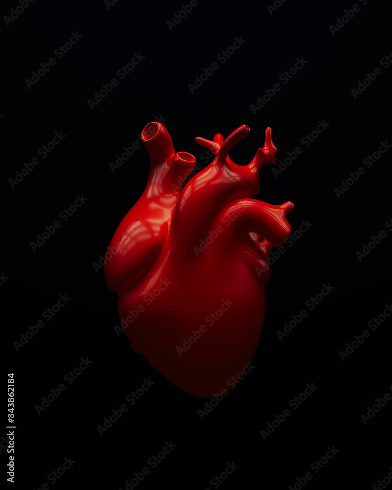 Red heart human anatomical organ internal biology model black ...