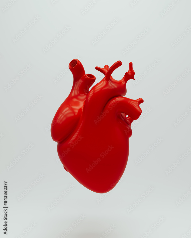 Red heart human anatomical organ internal biology model white ...