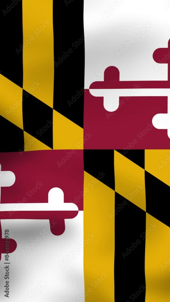 Vertical, portrait, waving national flag of Maryland. Smooth animation ...