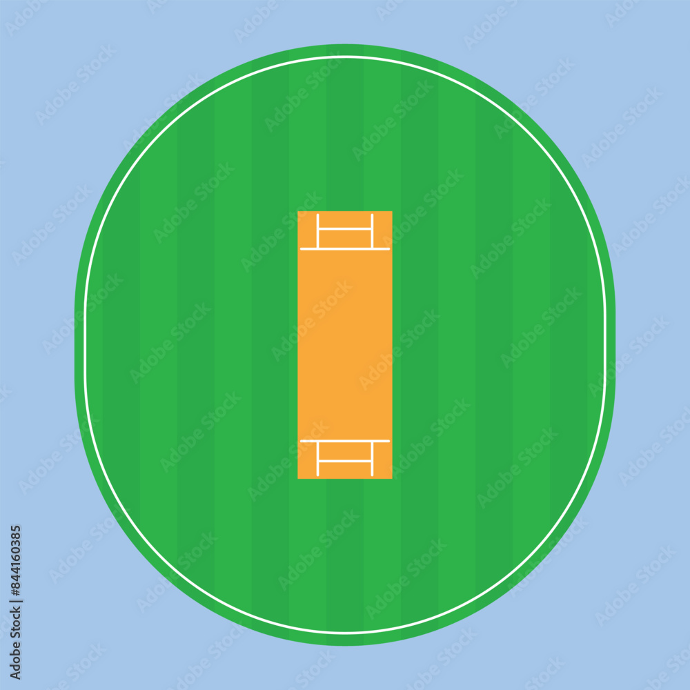 Cricket field icon. top view cricket pitch. cricket ground top view ...