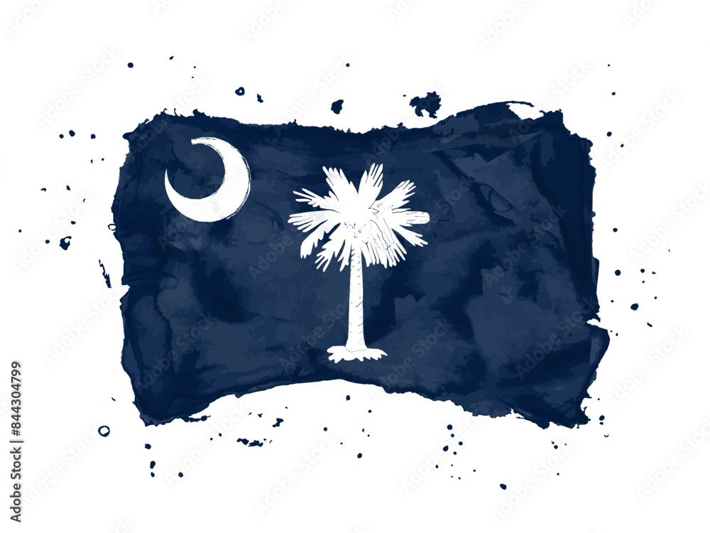 Flag of South Carolina from brush strokes. United States of America ...
