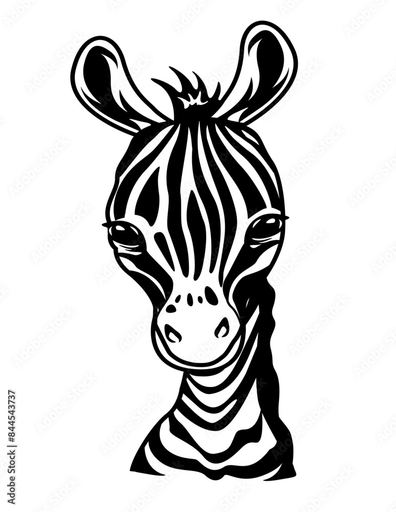 Cute Baby Zebra | Zookeeper | Zebra | Wildlife Party Decor | Female ...