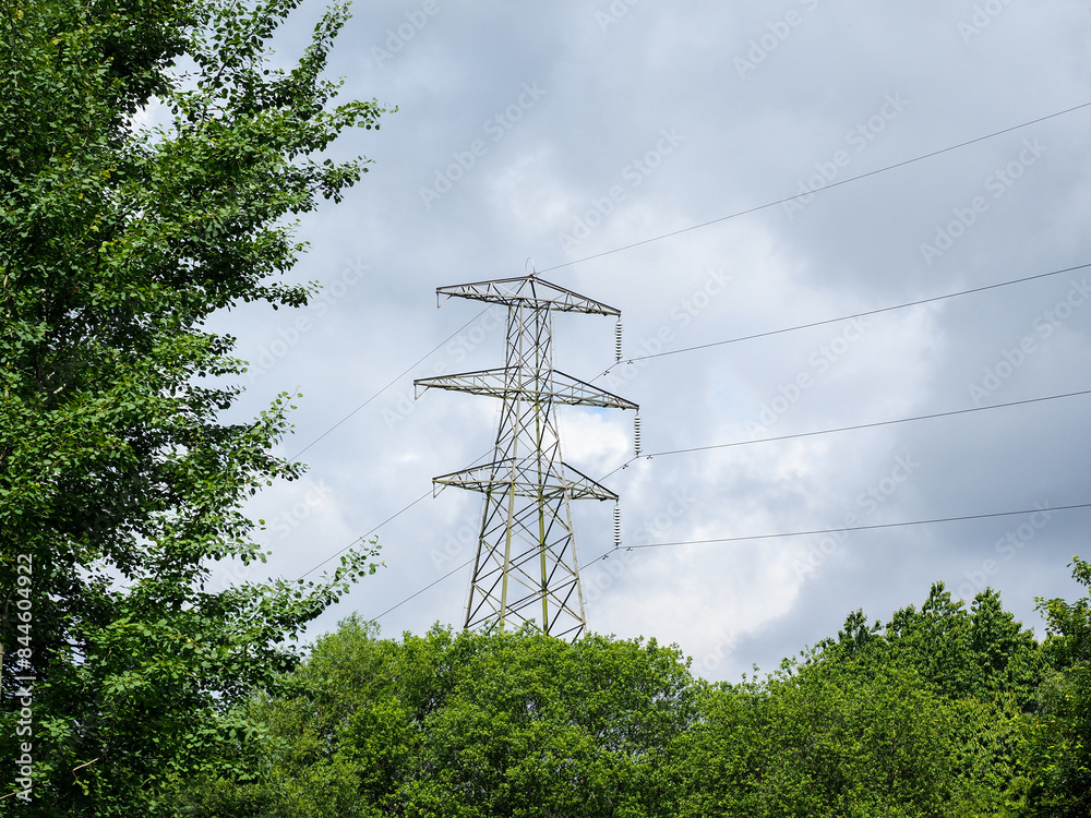 High-voltage power lines tower above lush green trees under a cloudy ...