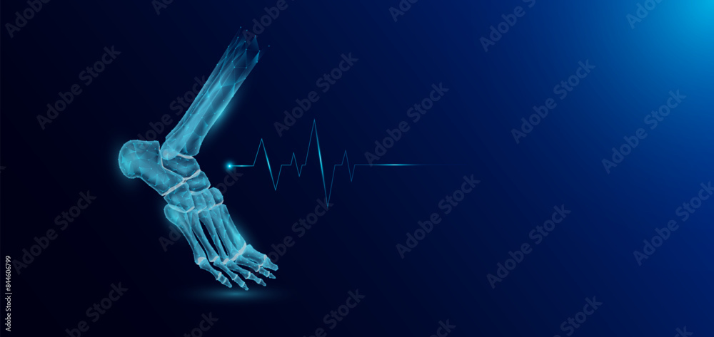 Ankle joint bone human organ skeleton anatomy in form style polygon low ...