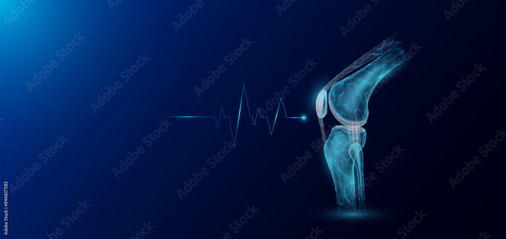 Knee joint bone human organ skeleton anatomy in form style polygon low ...