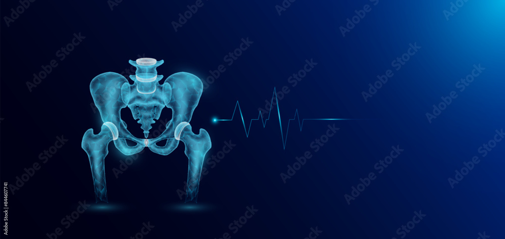 Pelvis bone human organ skeleton anatomy in form style polygon low poly ...