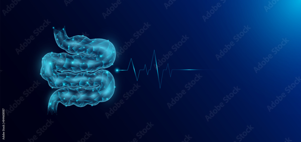Small intestine human organ anatomy in form style polygon low poly ...