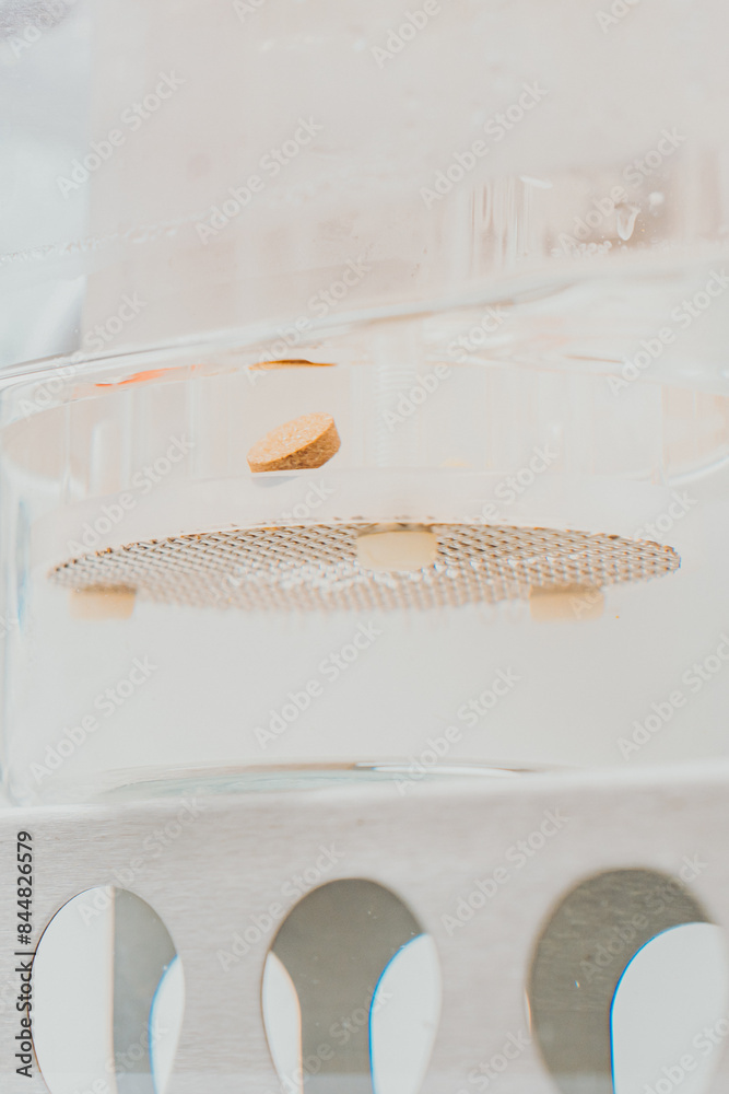 Testing tablet dissolution in the laboratory, laboratory analysis of ...