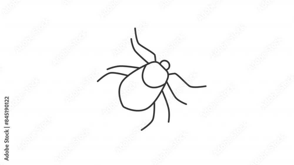 Animated bed bug icon. Roach line animation. Moving insect, parasite ...