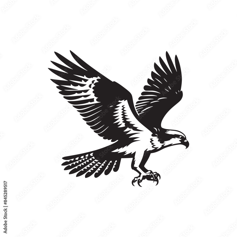 Osprey Bird Silhouette: Vector Graphics Depicting the Agile Flight and ...