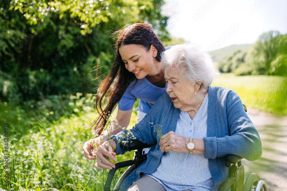 Female caregiver and senior woman in wheelchair picking wild flowers ...