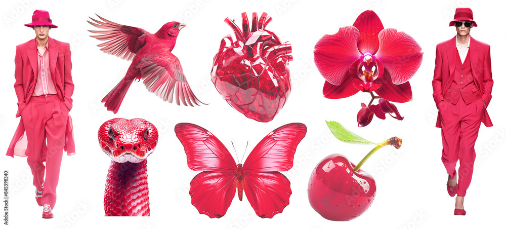 Set of red fashion outfit models and objects on png background. Ideal ...