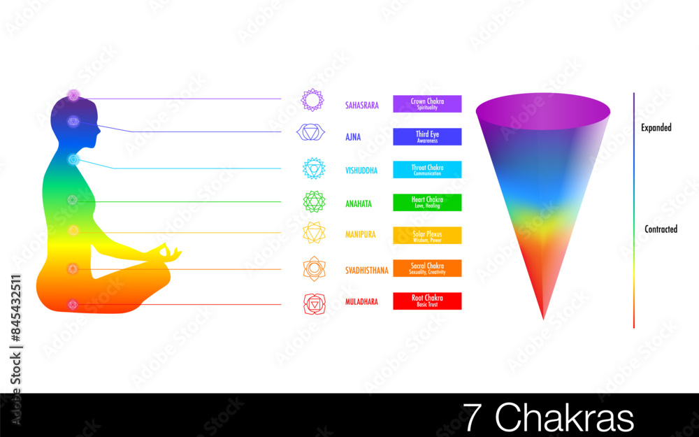 The seven chakras are thought of as the main energy points in your body ...