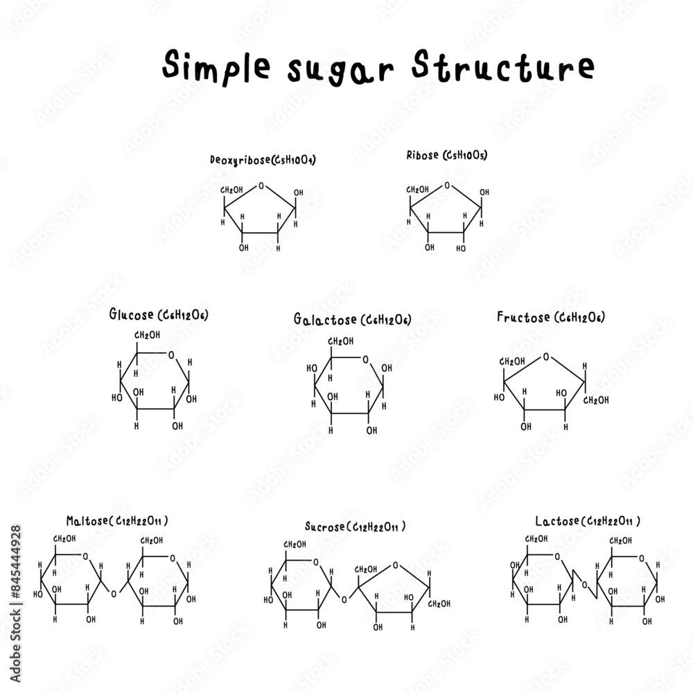 Set of sugar chemical structures such as Glucose, Fructose, Galactose ...