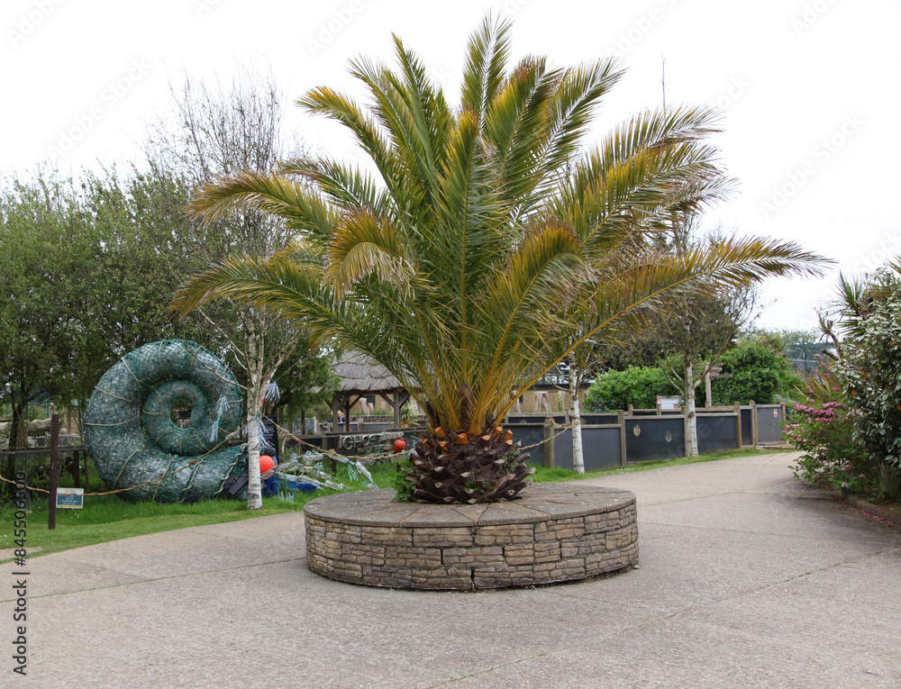 Pineapple palm tree and Ghosts of the Sea sculpture, made of rubbish ...