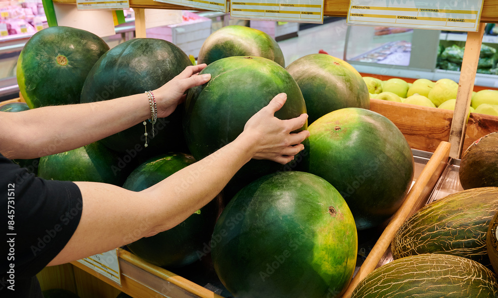 Unrecognizable young woman grabs a ripe watermelon in a display case in ...