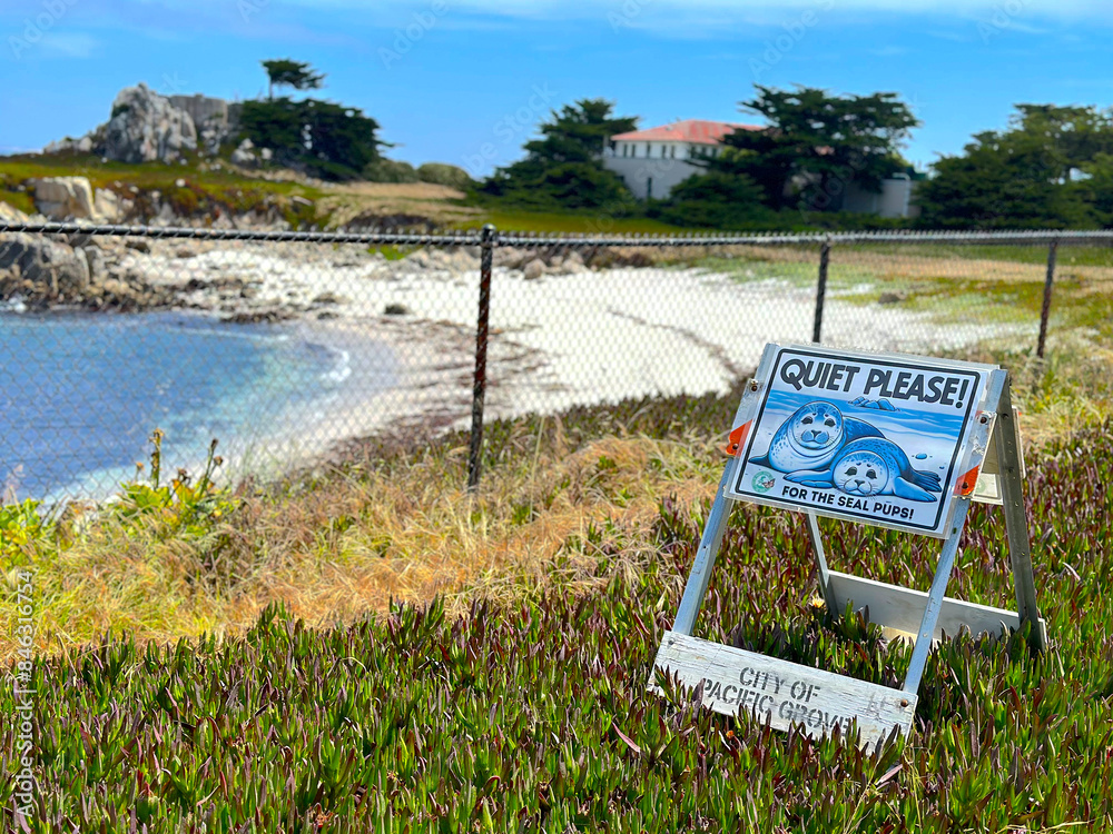 Harbor Seals Pulp Do Not Disturb Signal Placed on Protected Wildlife ...
