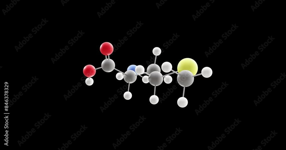 Methionine molecule, rotating 3D model of proteinogenic amino acids ...