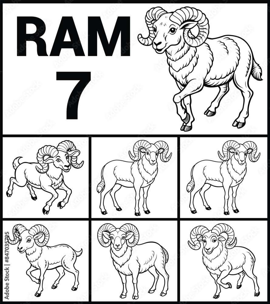 Ram Outline Set Detailed Vector Illustrations on Clean White Background ...