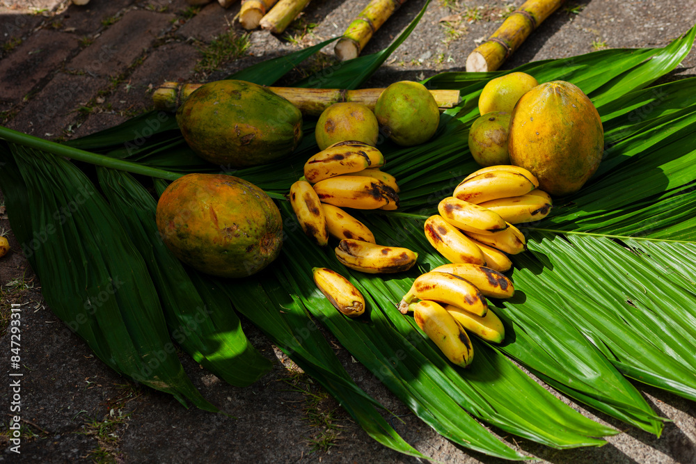 Ritual andino con variedad de frutas y flores tropicales, instrumentos ...