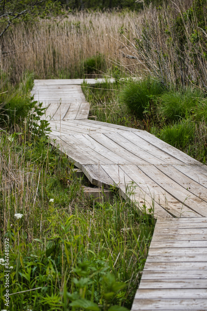 Hokkaido,Japan - June 6, 2024: Yachibouzu Boardwalk at Kiritappu ...