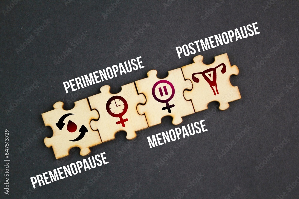 four stages of menstruation namely premenopause, perimenopause ...