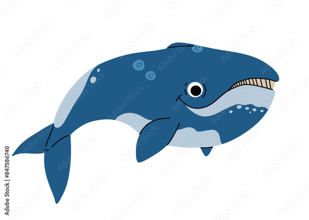 Vector cartoon illustrations of bowhead whale on a white background ...