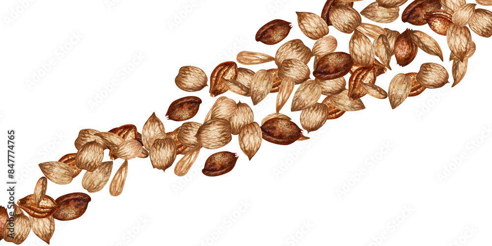 Rectangular border of apricot kernels and seeds. Watercolor ...