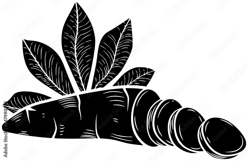 cassava illustration food silhouette tropical logo tapioca icon root ...
