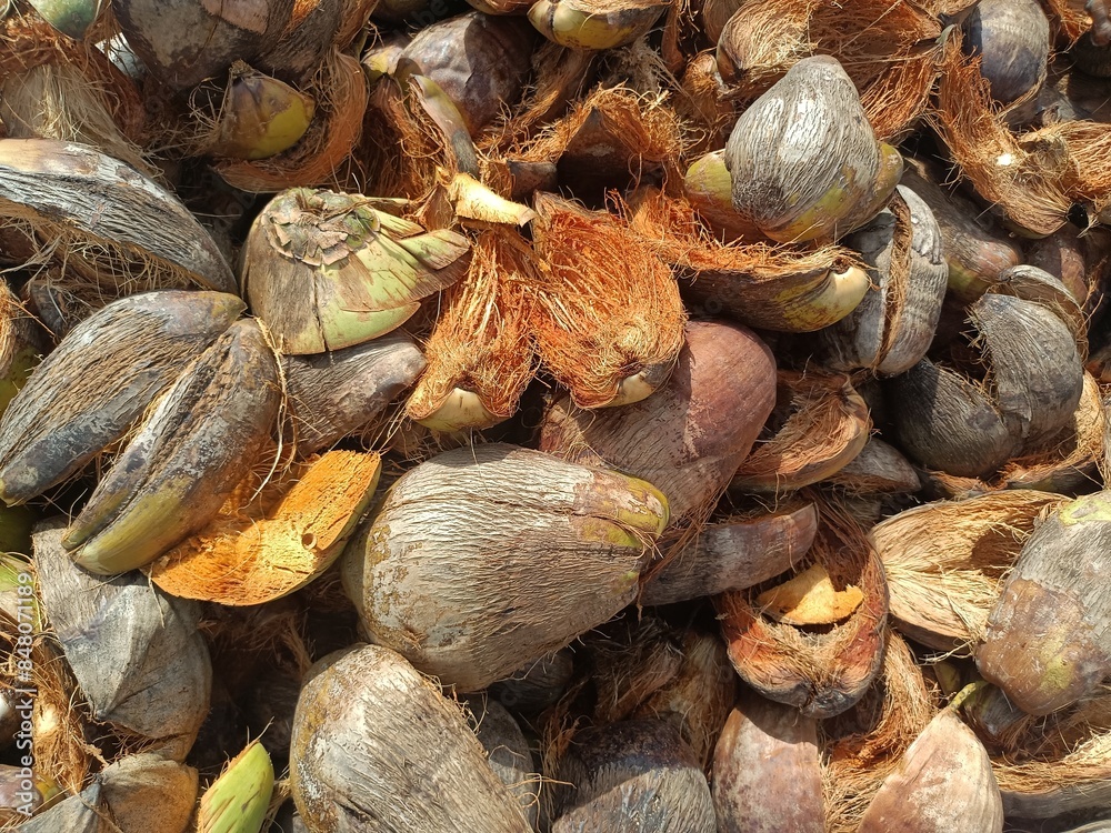 Coir, also called coconut fibre, is a natural fibre extracted from the ...