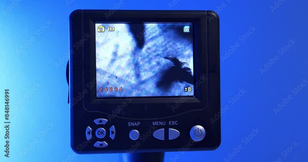 Plankton on device screen under microscope. Artemia - live nutrition ...