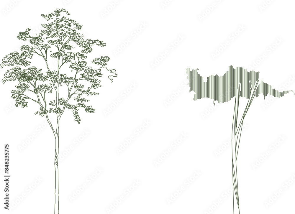 Sketsa ilustrasi siluet vektor desain detail tanaman pohon palem ...