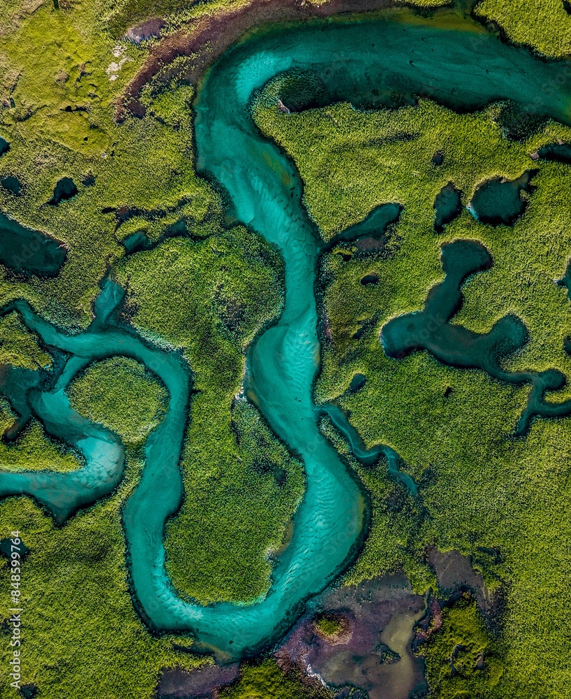 Aerial view, meandering river through vibrant jungle: A dramatic aerial ...